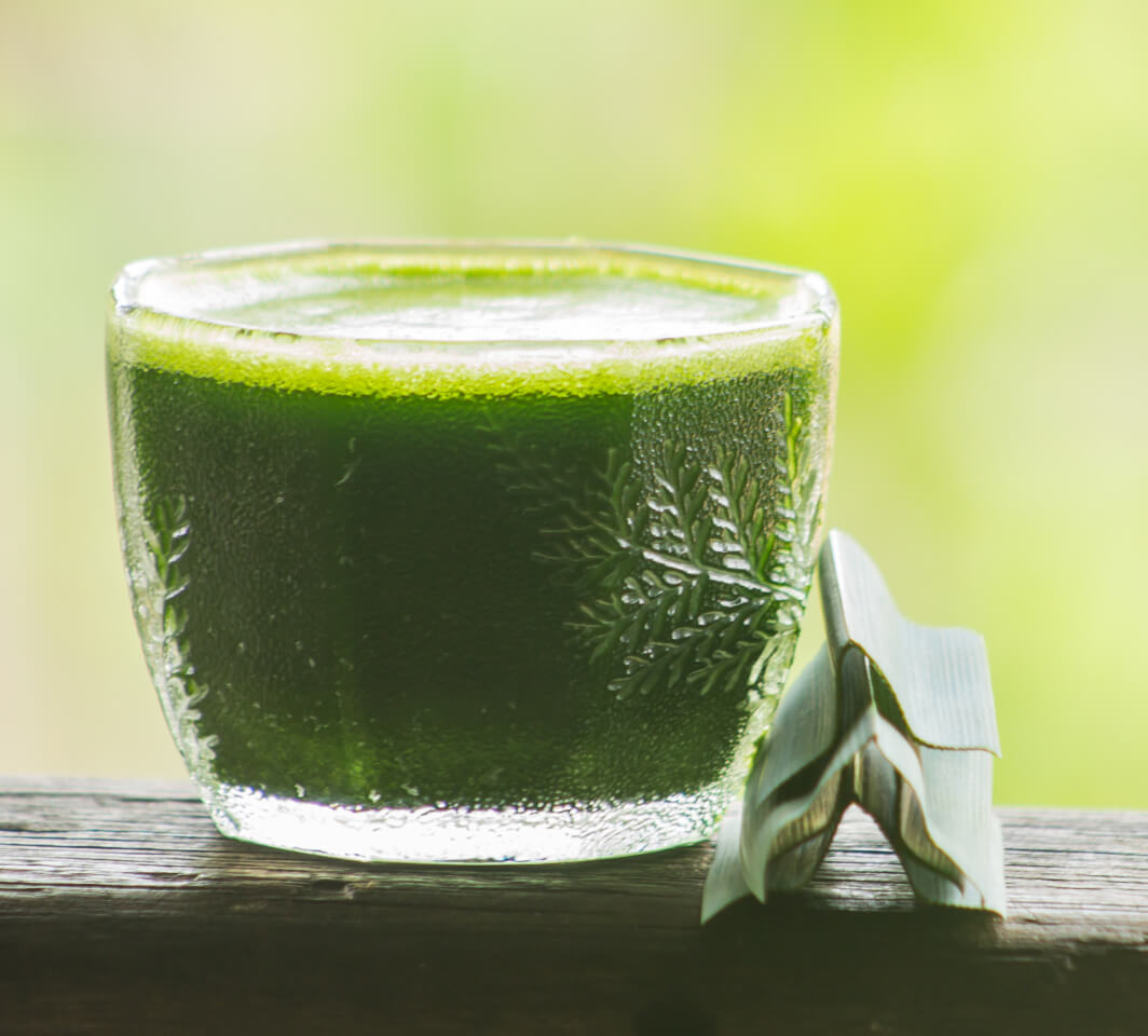 Glucerna® Philippines | Recipes: Pandan Red Beans Drink